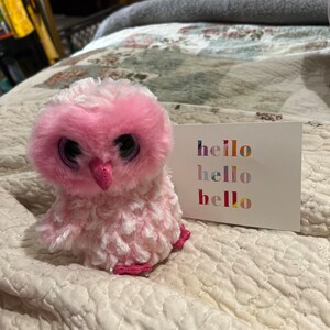 Ty Beanie Boos cancun,dexter and Pablo the Pink,brown,yellow Chihuahuas ...