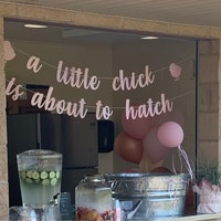 Spring Baby Shower Decorations, A Little Chick is About to Hatch Banner ...