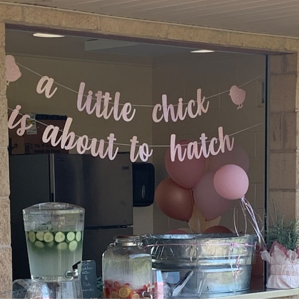 Spring Baby Shower Decorations, A Little Chick is About to Hatch Banner ...