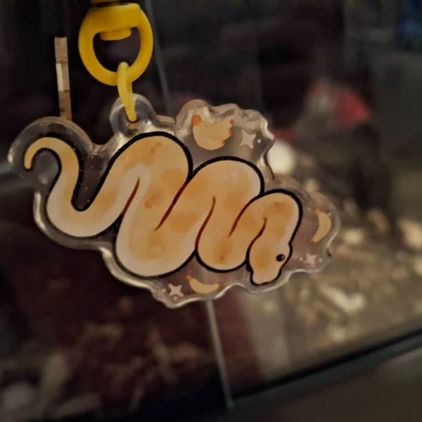 Fruit Salad Snakes Keychain Set / 2in Glitter Double-sided Acrylic ...