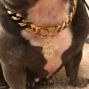 Dollar Sign Pet Tag - Etsy