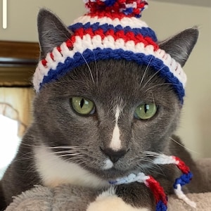 Apple Hat for Cats - Etsy
