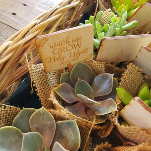 Succulent Tags Wedding Favors Wedding Favor Tags Plant | Etsy