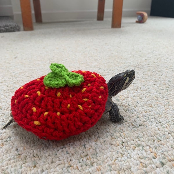 Crochet Strawberry Costume for Turtles/ Tortoises - Etsy