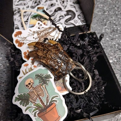 Real Rattlesnake Snake Rattle & Sand in 2 Vial Cork Top 10ml Bottle for ...