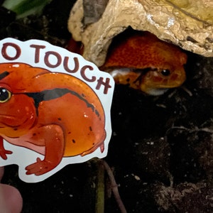 Leopard Gecko Fruit Flavored Milk Stickers Reptile | Etsy