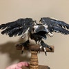 Raven Skeleton Prop on A Rustic Wooden Perch - Etsy