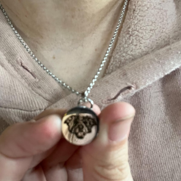 Pet Fur Memorial Necklace - Custom Pet Portrait Fur Memorial Jewelry ...