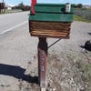 Bat House, Colony Bat House Bat Box, Amish-made. - Etsy