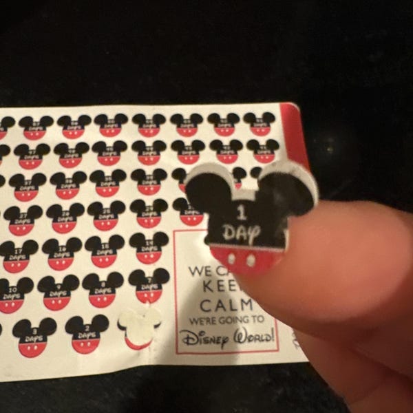 Countdown to Disney Stickers Disney Countdown ECLP Stickers / Erin ...