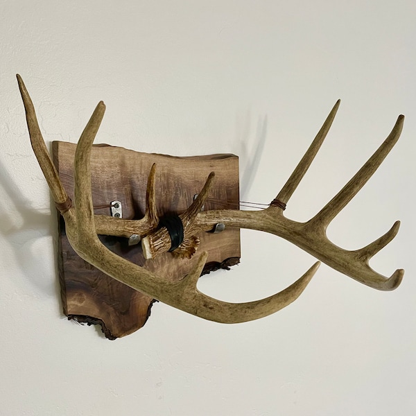 Large Whitetail Deer Antler Sheds - A Grade - Choose Quantity - Etsy