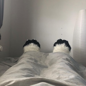 Fursuit Kig Series Furry Fursona Fursuit Full Body Custom Clothing ...