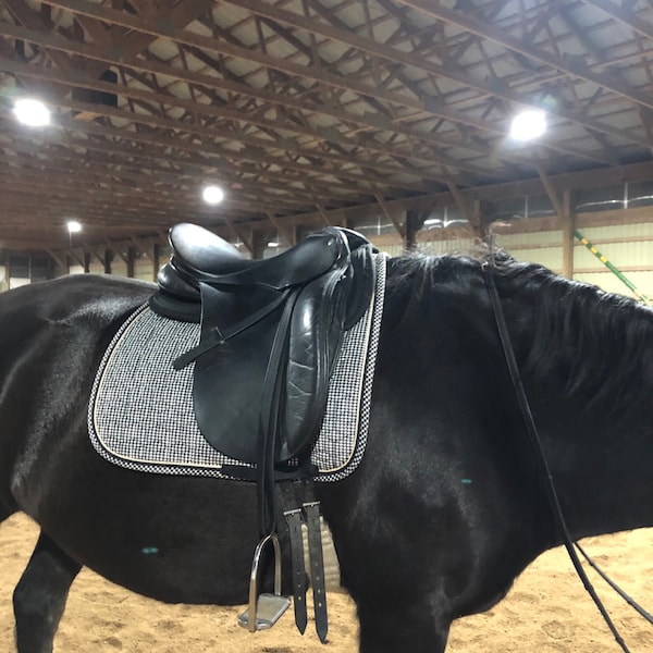 Ready to Ship Single Pommel Saddle Bag for a Western Saddle Horn Bag ...