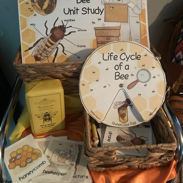 Honey Bee Unit Study Homeschool Summer Activities Bee Life Cycle ...