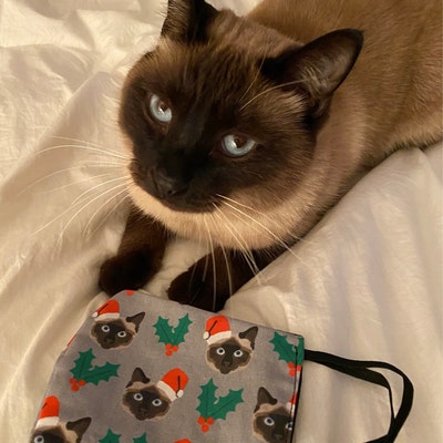 Siamese Cat Cat Mask Christmas Cat Mask Holiday Cat Mask - Etsy