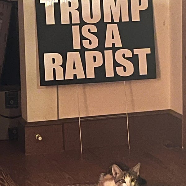 Thank You Governor Whitmer Yard Sign - Etsy