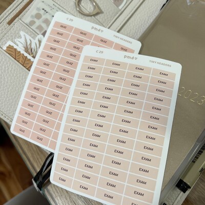 Fill Prescription Stickers Planner Stickers FI11 - Etsy