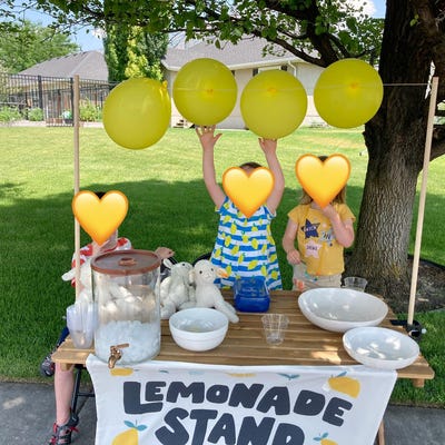 Lemonade Stand Banner Kids Lemon Stand Decor Summer Party Decor ...