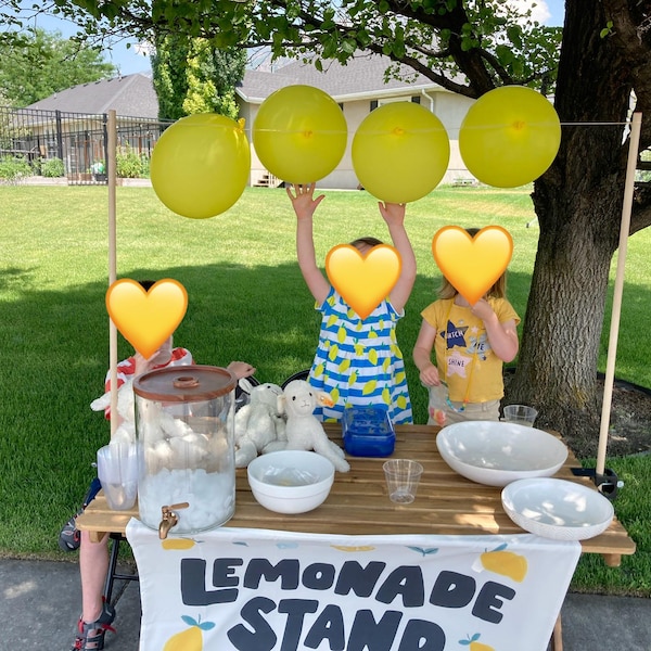 Lemonade Stand Banner | Kids Lemon Stand Decor | Summer Party Decor ...
