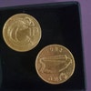 Mauritius Dodo Coin Token Necklace Limited Edition Maurice of Nassau ...