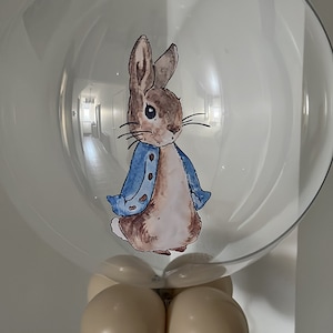 Gorgeous Peter Rabbit Vinyl Decal Sticker Digitally Cut Just Peel and ...