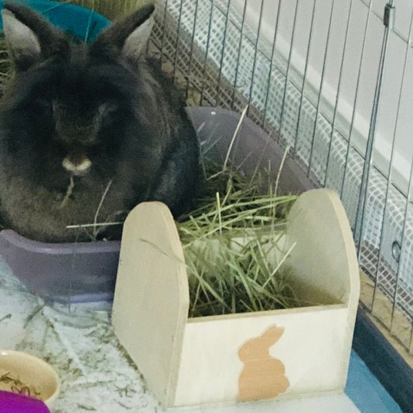 Rabbit Hay Feeder / Feeding Trough - Etsy UK