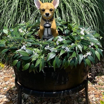 Year Round Greenery Wreath for Front Door With Seeded Eucalyptus ...