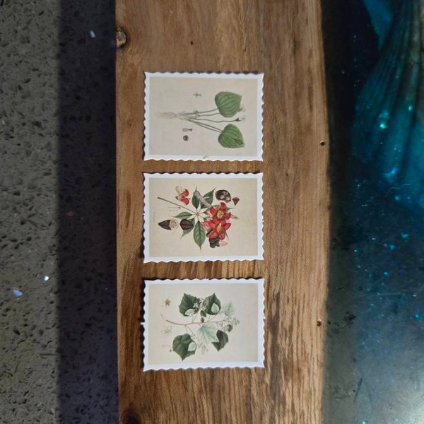 Retro Film Frame Sticker, Vintage Camera Film Roll Sticker, Film Strip ...