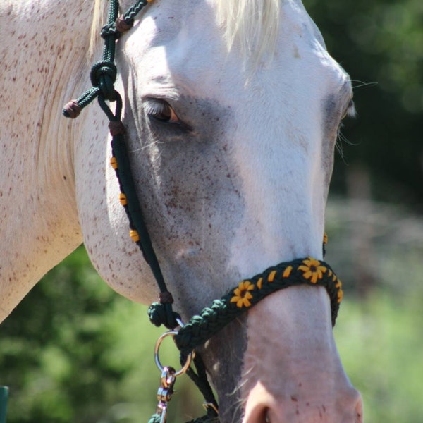 Sunflower Paracord Bitless Bridle, Sidepull Attachment. - Etsy