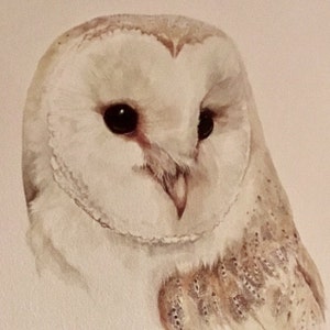 BARN OWL, A4 Size Signed Print of a Watercolour Painting of a Barn Owl ...