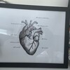 Anatomical Heart Print, Vintage Medical Art, Heart Wall Art, Anatomy ...