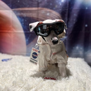 Buffy the Vampire Slayer ID Badge Card Sunnydale Student ID: - Etsy