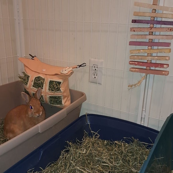 YOU CHOOSE FLAVORS Custom Kabob Flavored Chew Toy for Rabbits, Guinea ...