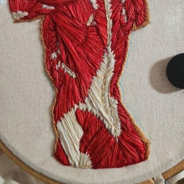 Musculoskeletal Back Anatomy Embroidery Pattern - DIY Digital PDF ...
