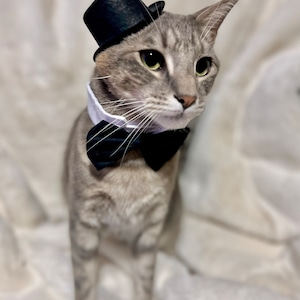Black Top Hat Cat Hat FREE SHIPPING - Etsy
