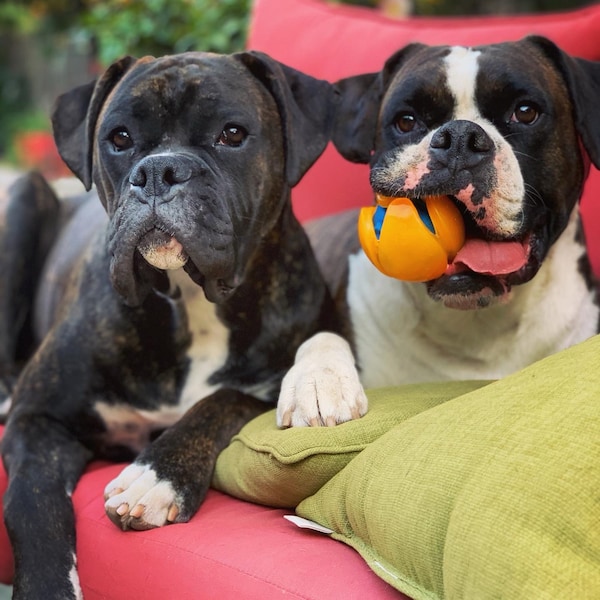 Santa Sack, Christmas Sack, Multiple Sizes, Blank Extra Large Santa Bag ...