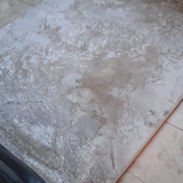 Van Life Vinyl Sticker Camper Camping Skate T5 T4 T3 T25 T1 Van Decal ...