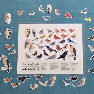 Oregon Printable Backyard Birds of Oregon Field Guide Print Printable ...