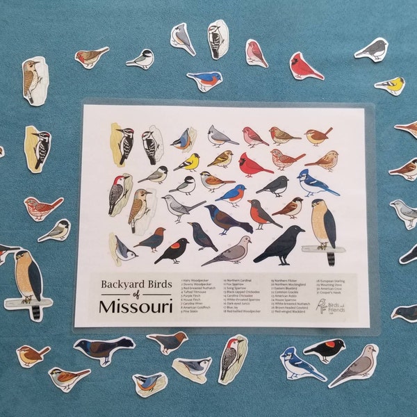 Ohio - Printable Backyard Birds of Ohio Field Guide Print - Bird Art ...