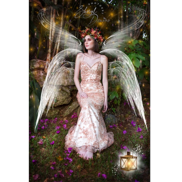 Designer Gems Overlays - Wings of an Angel - (4) Photoshop .png Files ...