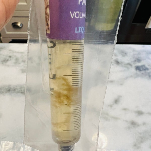 Elm Oyster Mushroom Liquid Culture - Etsy