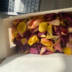 1 Litre of Memorial Funeral Petals Biodegradable Freeze Dried Real Rose ...