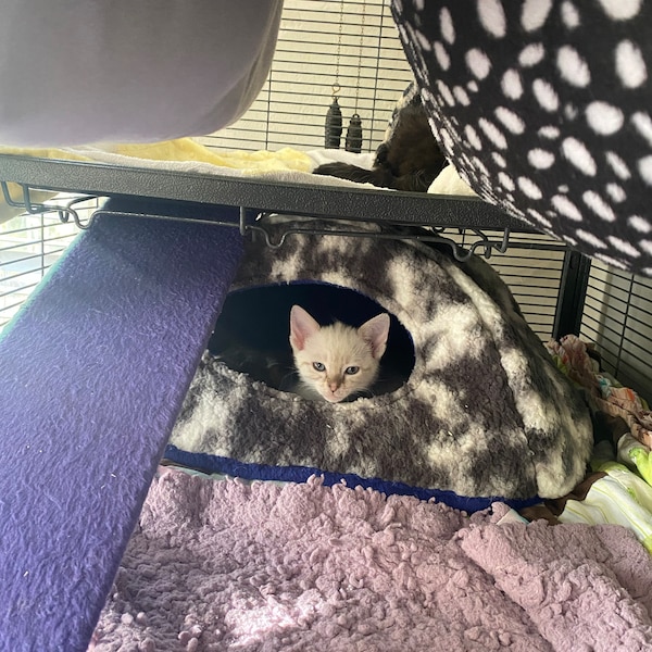 Cat House PDF Sewing Patterns & Video Tutorial (2 Size ) - Etsy