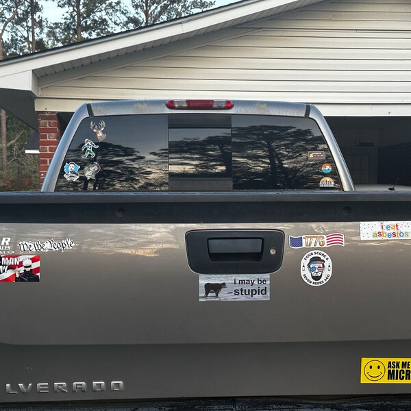 I Eat Asbestos Funny Unhinged Gen Z Meme Bumper Sticker & Car Magnet - Etsy