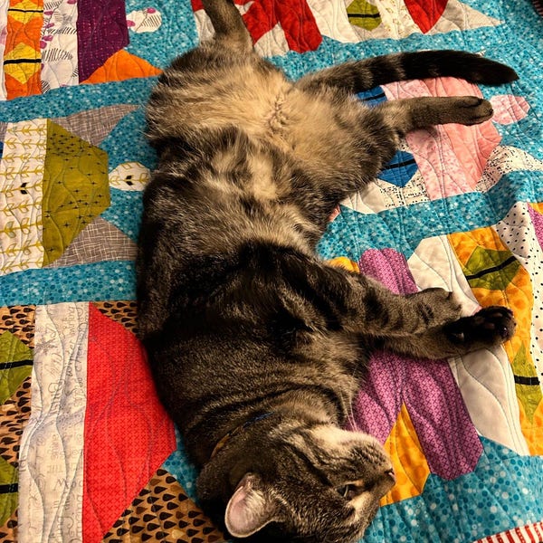 Catholes Quilt Pattern PDF Instant Download Modern Patchwork ...