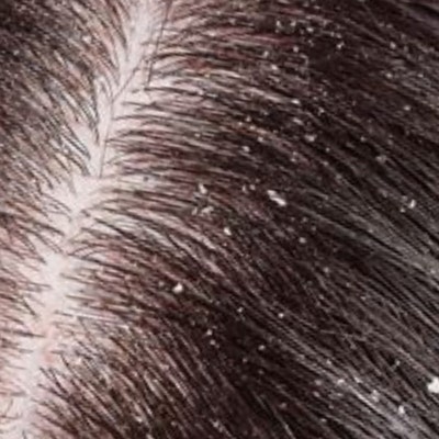 Just Rosey Floral Shampoo & Conditioner Rose Otto, Natural Scents, Rose ...