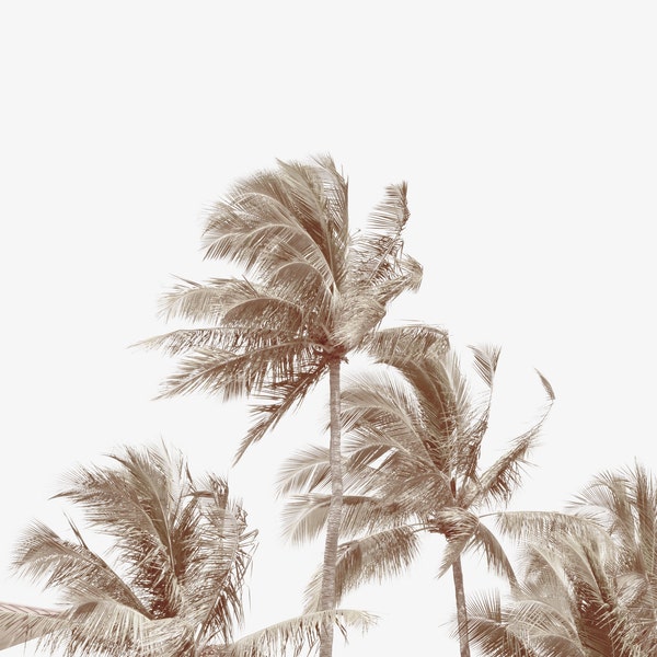 Palm Leaves Wall Art Botanical Print Set of 2 Wall Art Tropical Prints ...