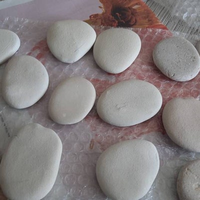 Royal Poinciana Seed Pods With Seeds, Flamboyant Tree Seed Pods ...