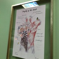Muscles of the Back Print Poster Back Muscles Art Massage Muscular ...