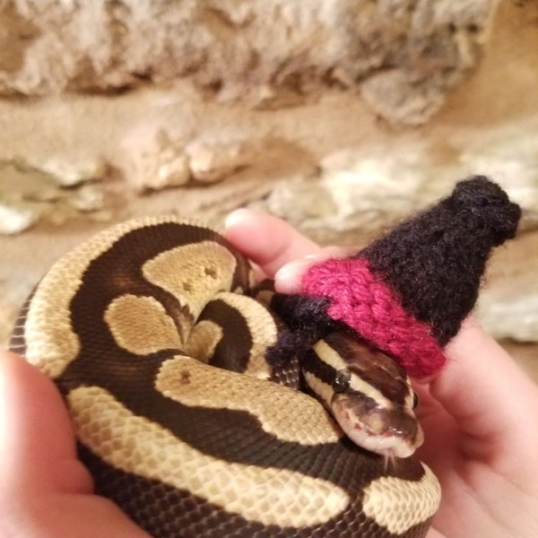 Hi Baby Beanie Knitting Pattern - Etsy